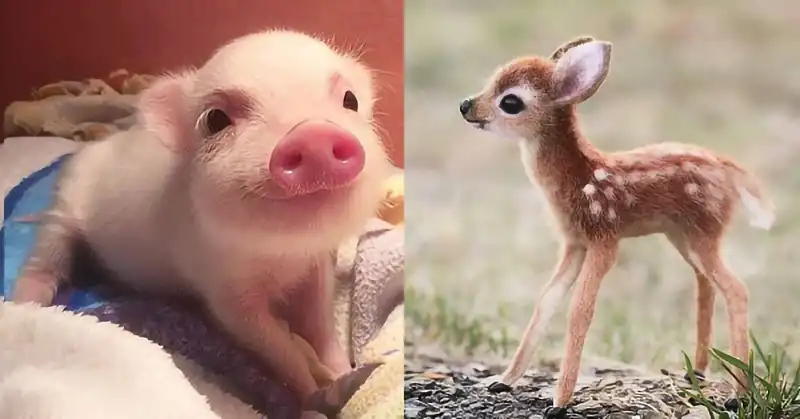 Zebratests | Kids Early Learning at Home | Trusted by millions of ...