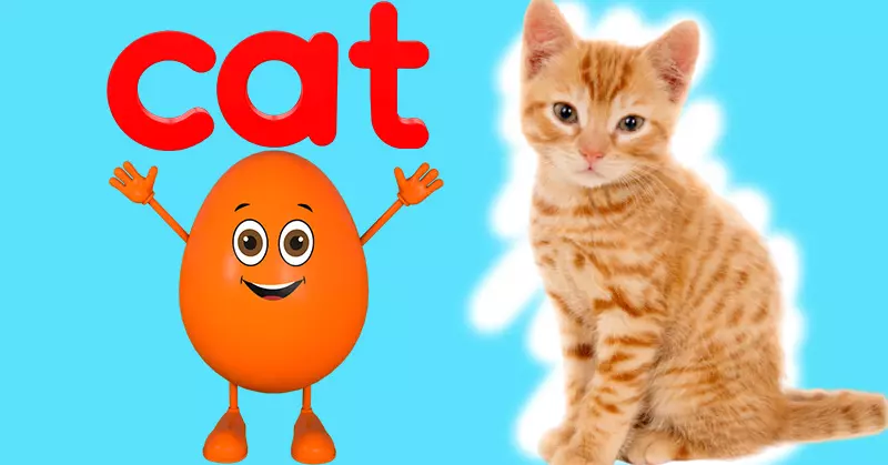 Zebratests | Kids Early Learning at Home | Trusted by millions of ...